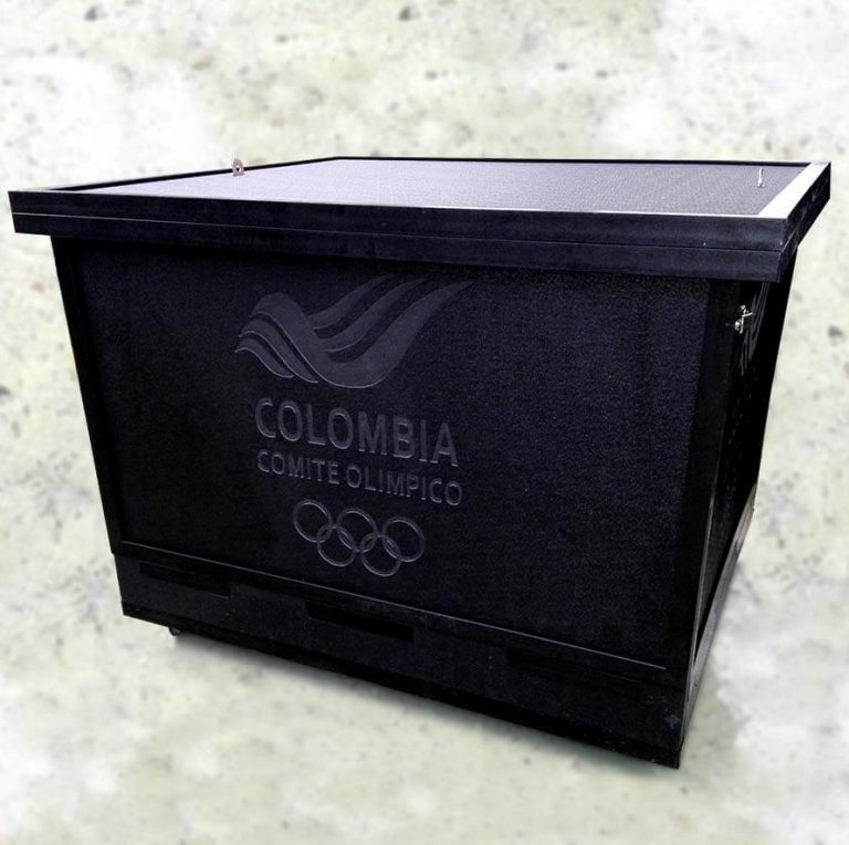 Caja Contenedora en Plástico Insdustrial para Almacenaje y Transporte